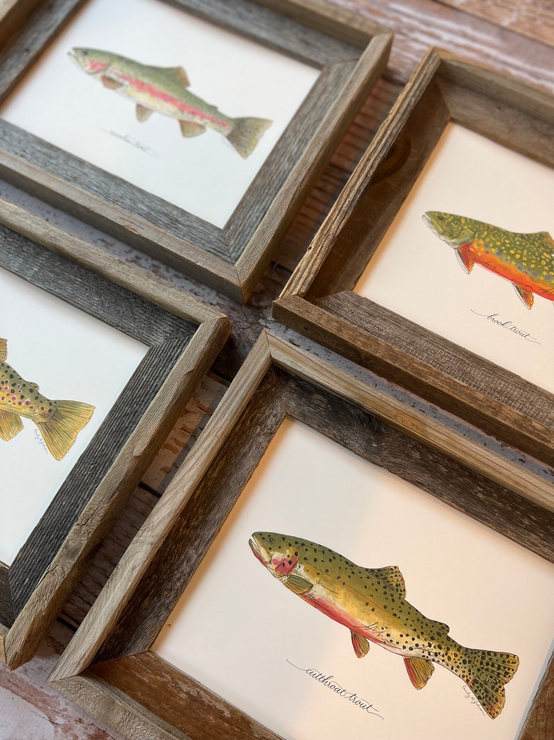 Set of 6 Fish Art Prints | Fly Fishing Wall Art Decor - Etsy