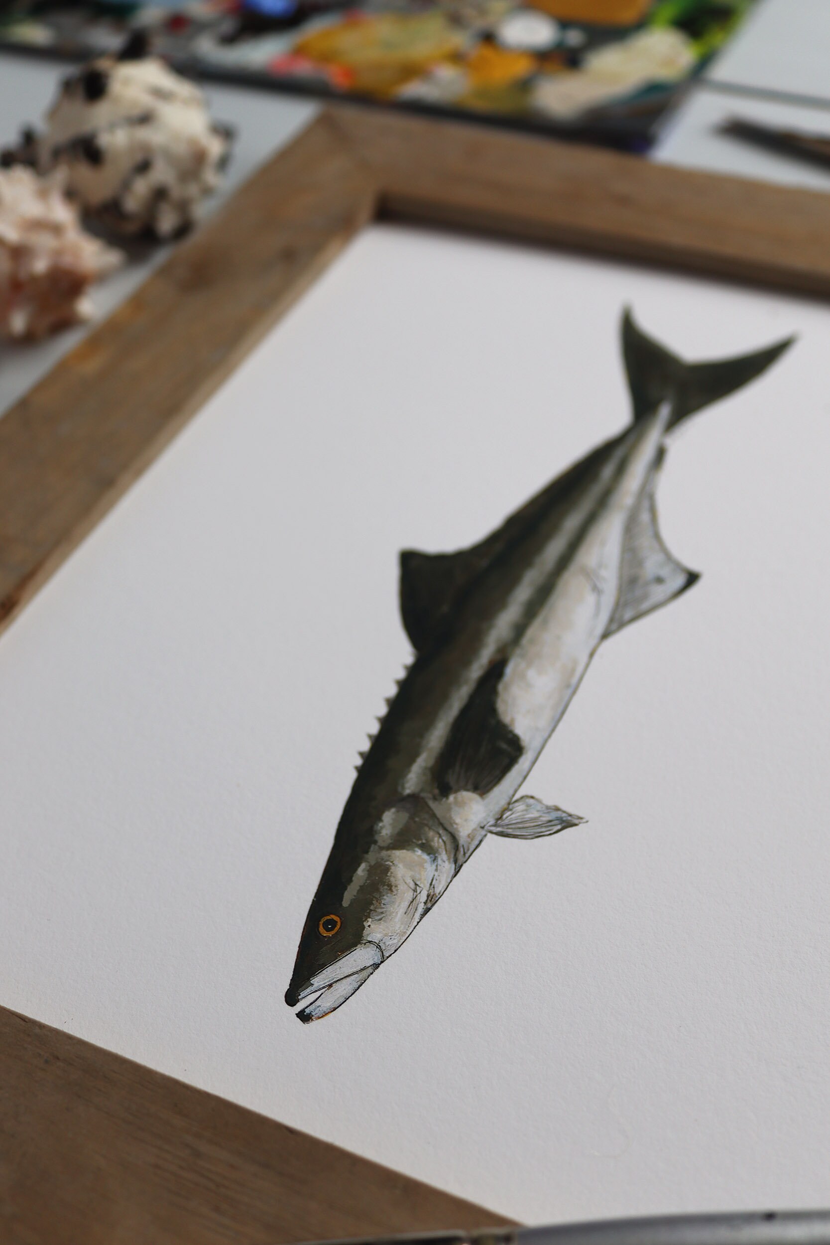 COBIA LEMONFISH LING Fish Art Painting Saltwater Fishing - Etsy