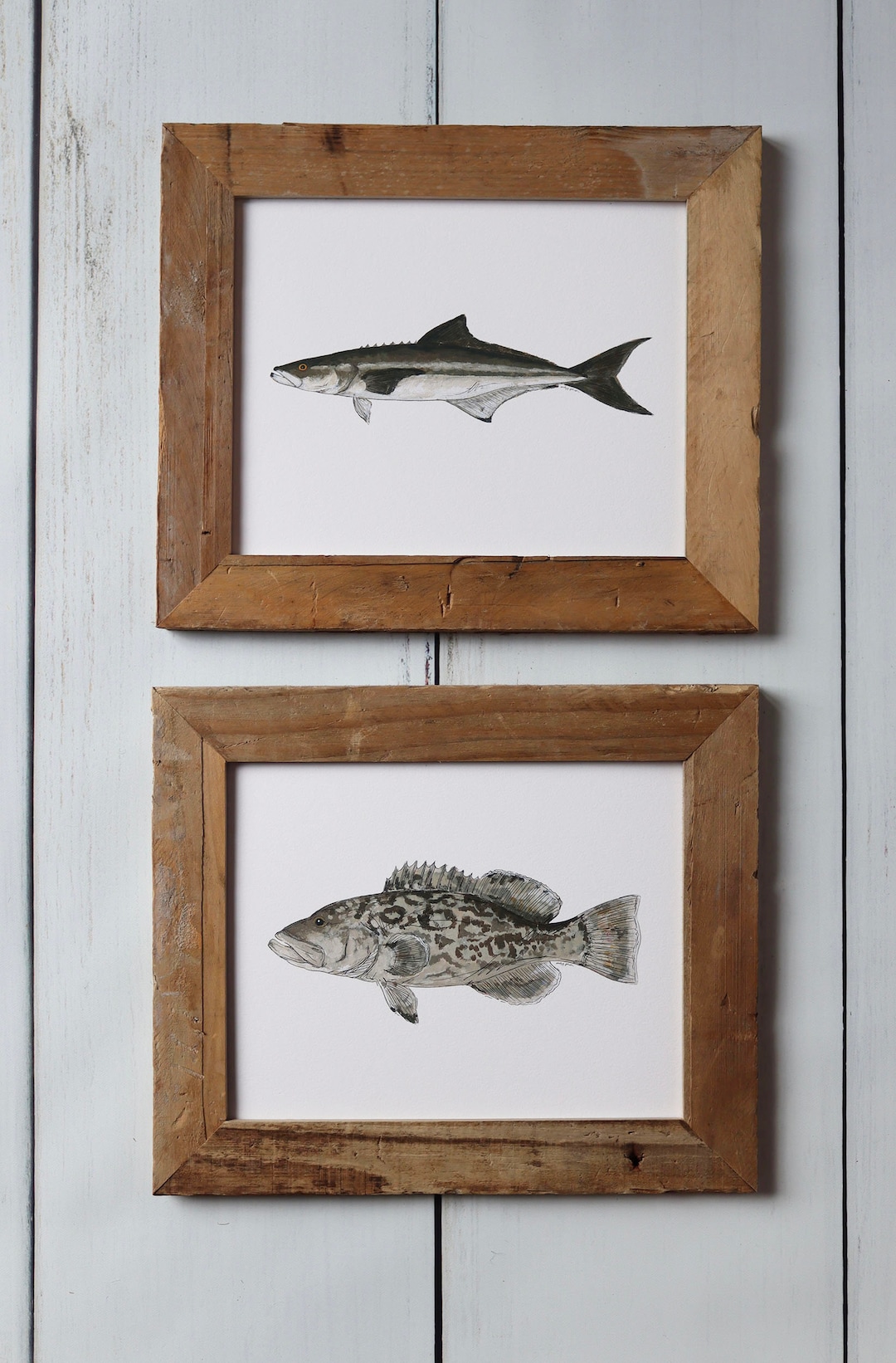 Saltwater Fish Art Prints - 2 PRINTS, Cobia, Grouper - Fish Painting ...