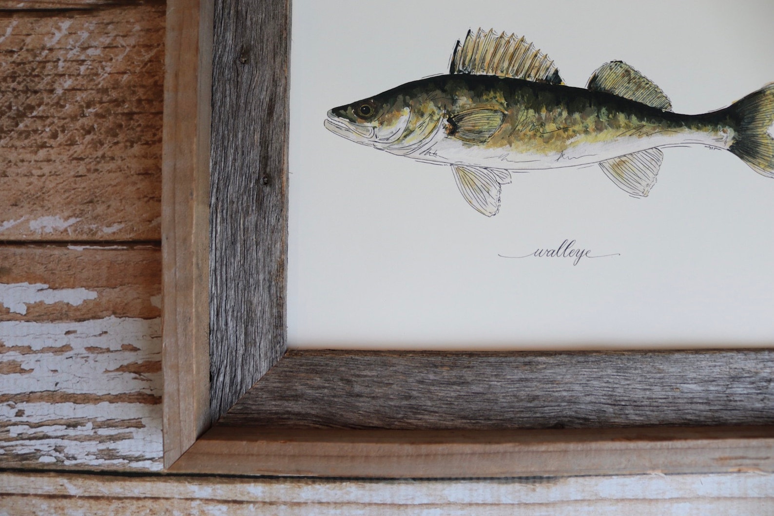 WALLEYE Yellow Pike Fishing Freshwater Fish Lake - Etsy Canada