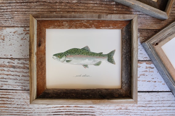 Pink Salmon Humpie Humpy Salmon Salmon Fishing Fish Art - Etsy