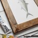AMBERJACK Fish Art Painting Saltwater Fishing Ocean Art - Etsy