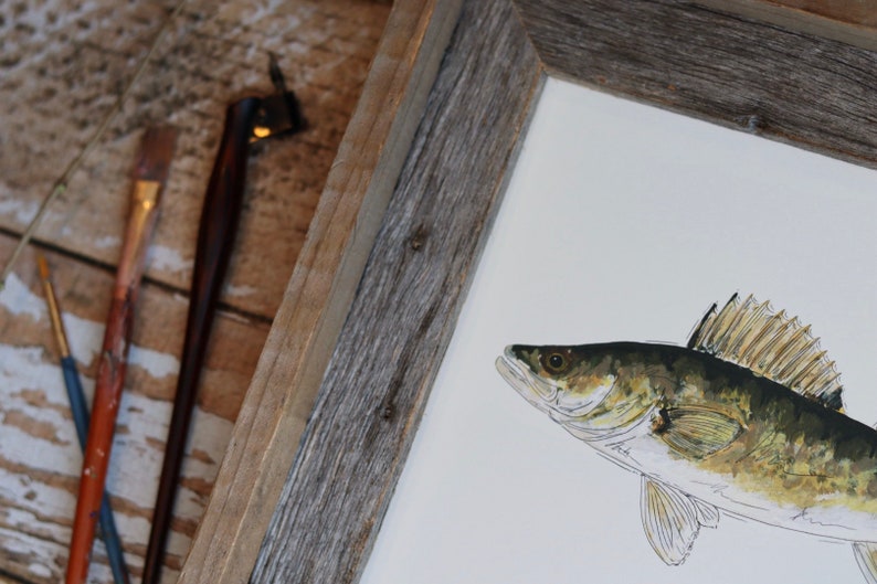 WALLEYE Yellow Pike Fishing Freshwater Fish Lake | Etsy