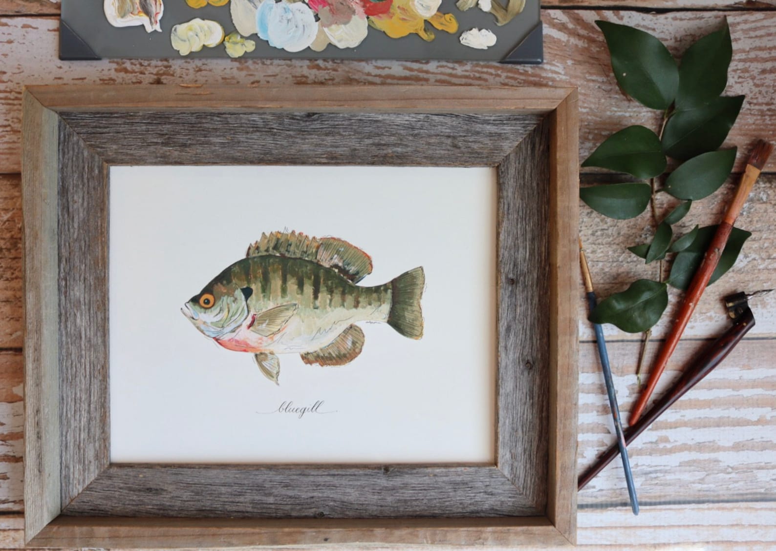 BLUEGILL Bream Fishing Freshwater Fish Lake Cabin Decor - Etsy