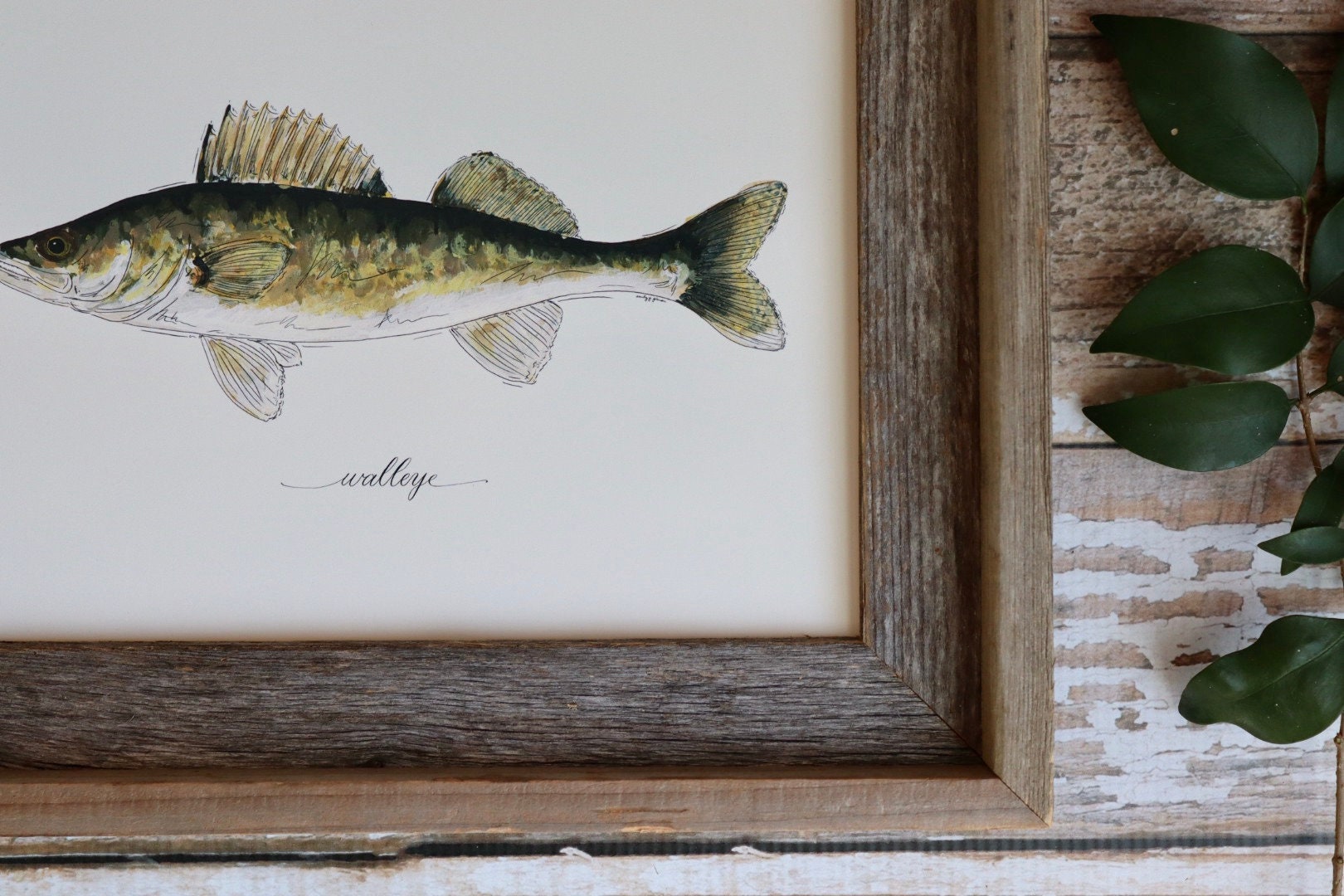 WALLEYE Yellow Pike Fishing Freshwater Fish Lake - Etsy Canada