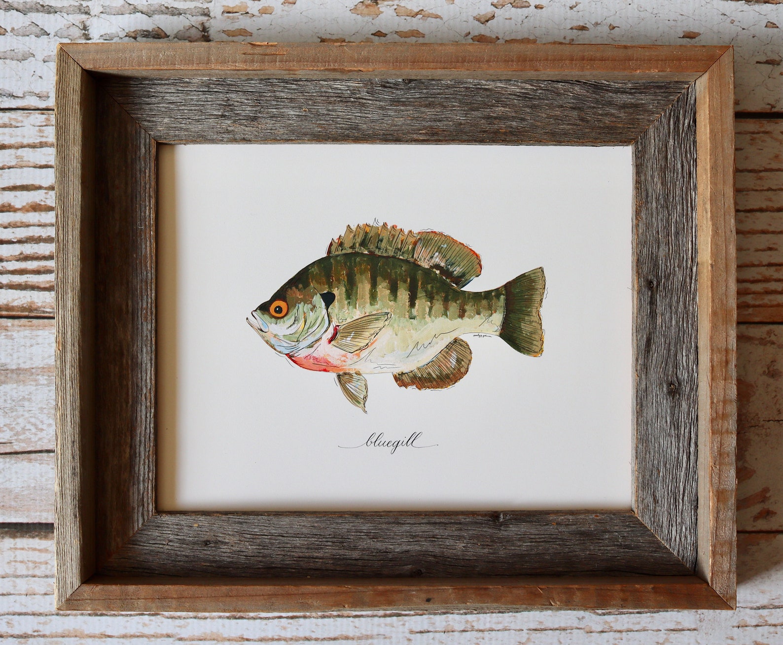 BLUEGILL Bream Fishing Freshwater Fish Lake Cabin Decor - Etsy
