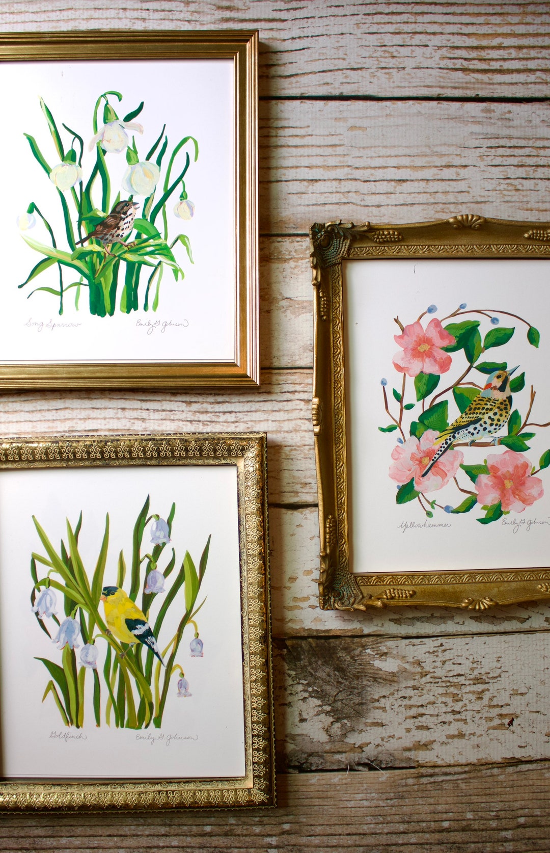YOU PICK | 3 Bird Art Prints | BIRDS Wall Art Grouping | Backyard Birds ...