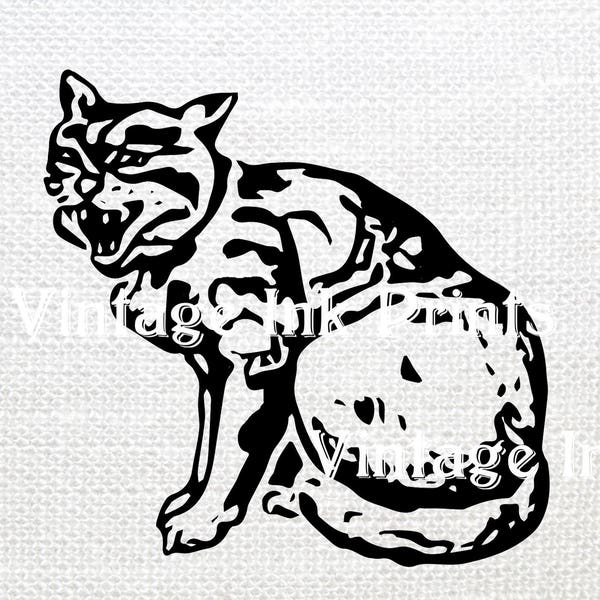 Hissing Cat Png - Etsy