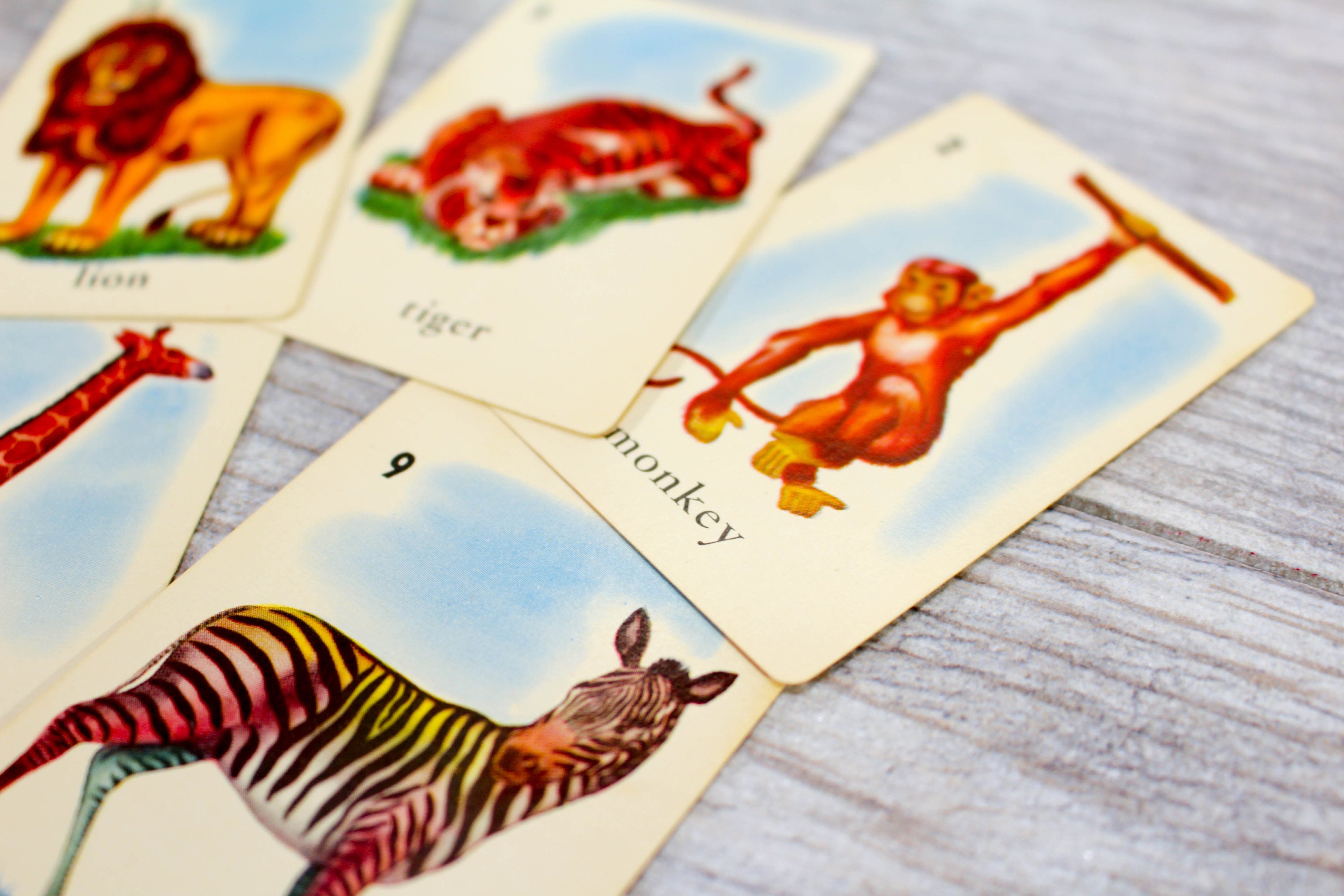 5x Vintage Animal Cards Kids Decor Giraffe Zebra Lion Tiger | Etsy