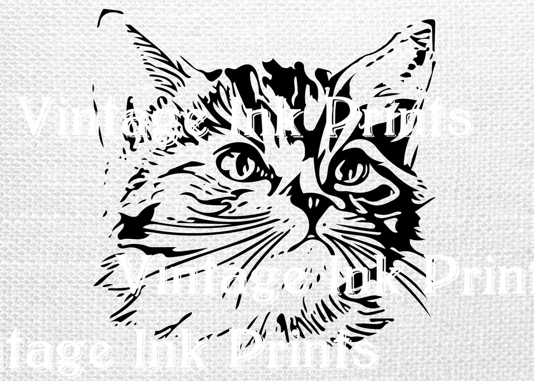 Vintage Cat Clipart SVG Illustration Digital Clip Art Meow Graphic ...