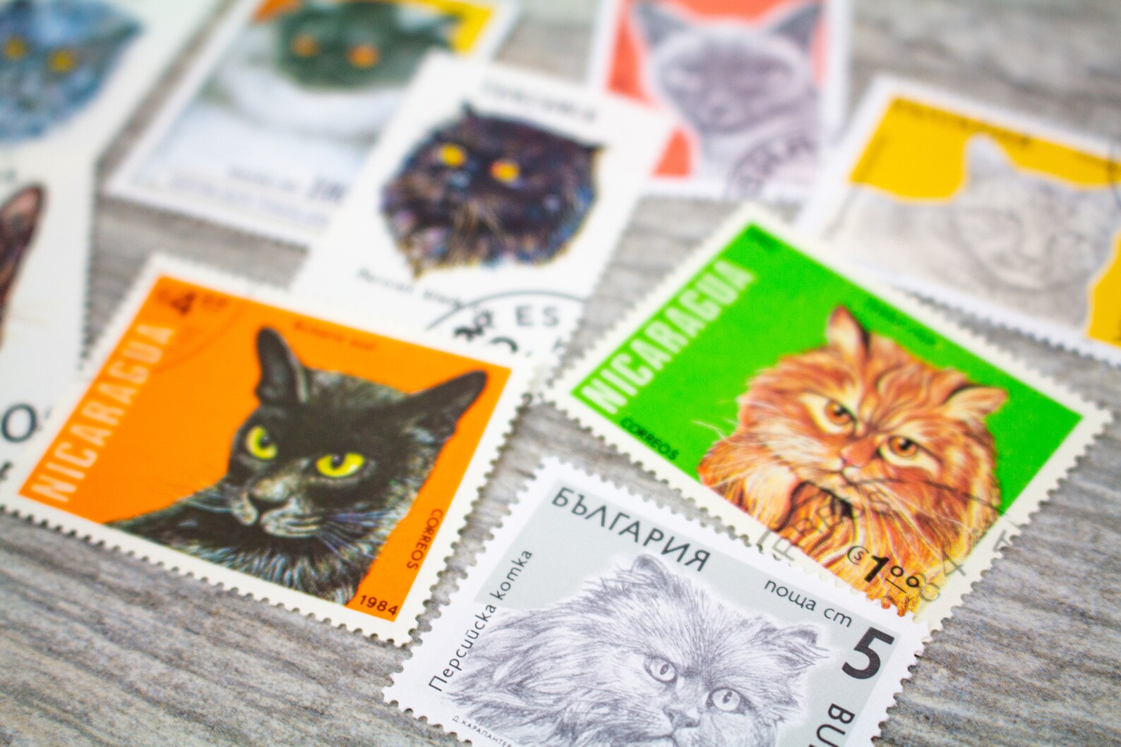 9x Vintage Black Cat Postage Stamps Halloweeen Print Decor Pictures Superstitious Junk Journal ...