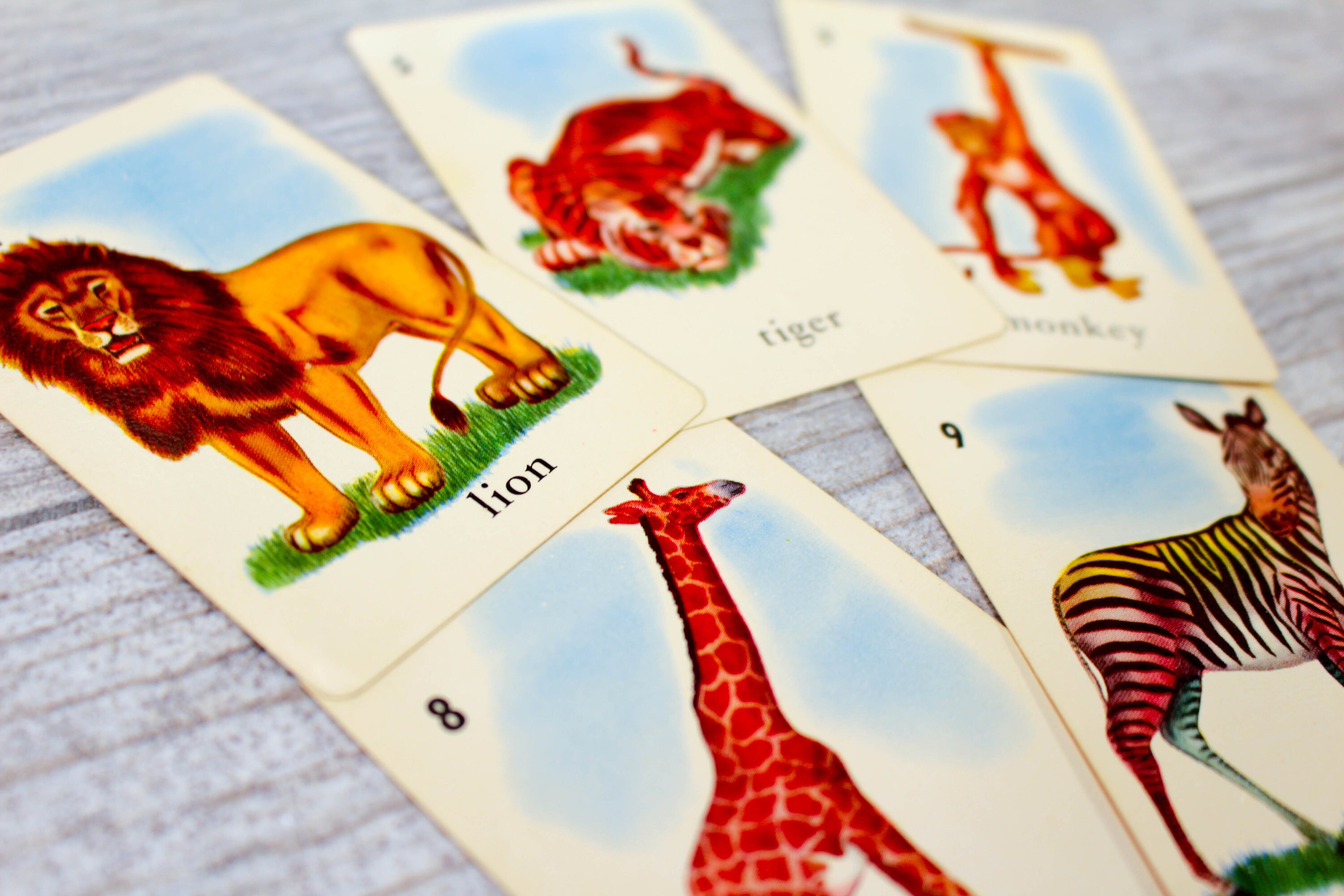 5x Vintage Animal Cards Kids Decor Giraffe Zebra Lion Tiger - Etsy