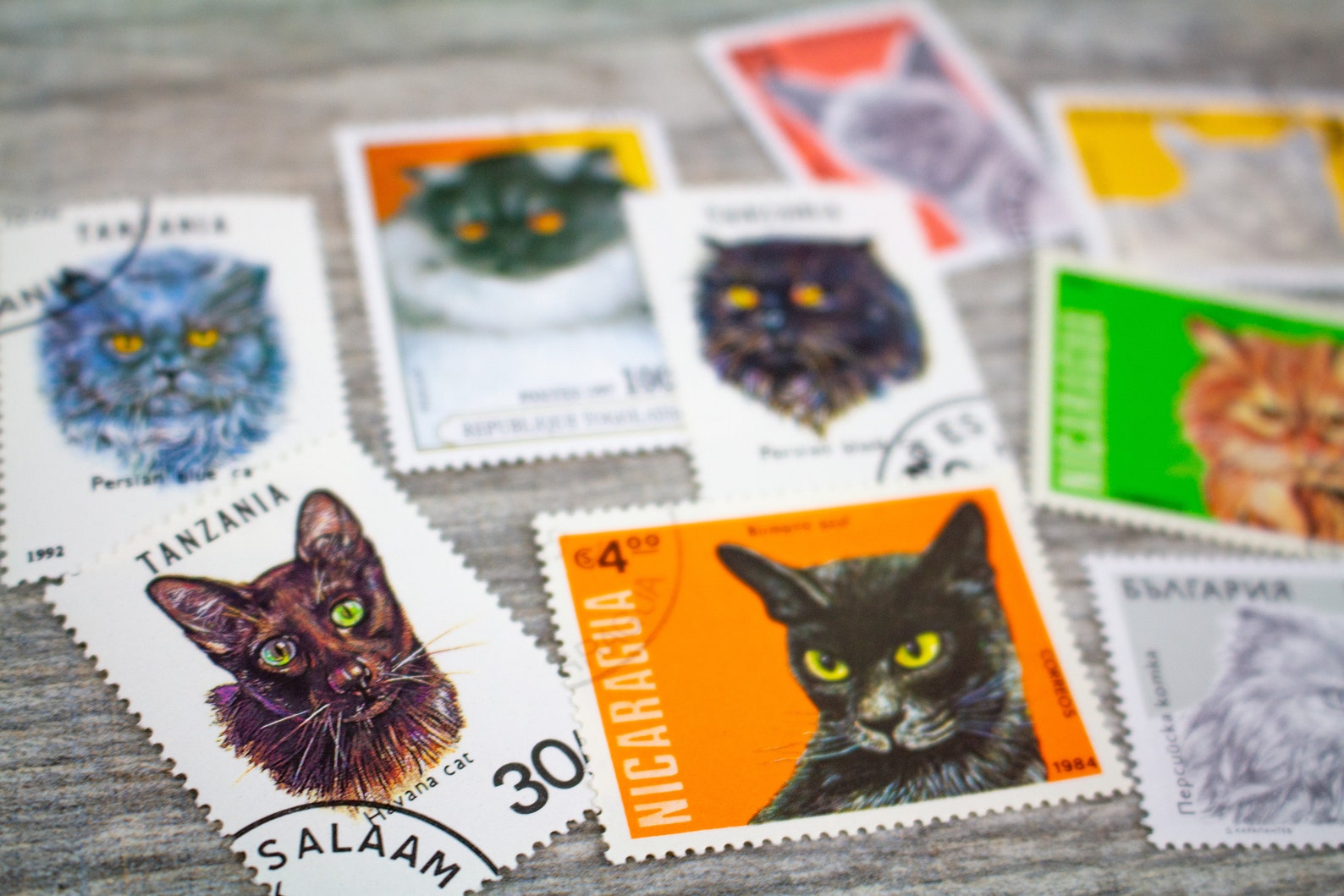 9x Vintage Black Cat Postage Stamps Halloweeen Print Decor Pictures ...