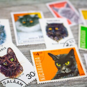 9x Vintage Black Cat Postage Stamps Halloweeen Print Decor Pictures ...