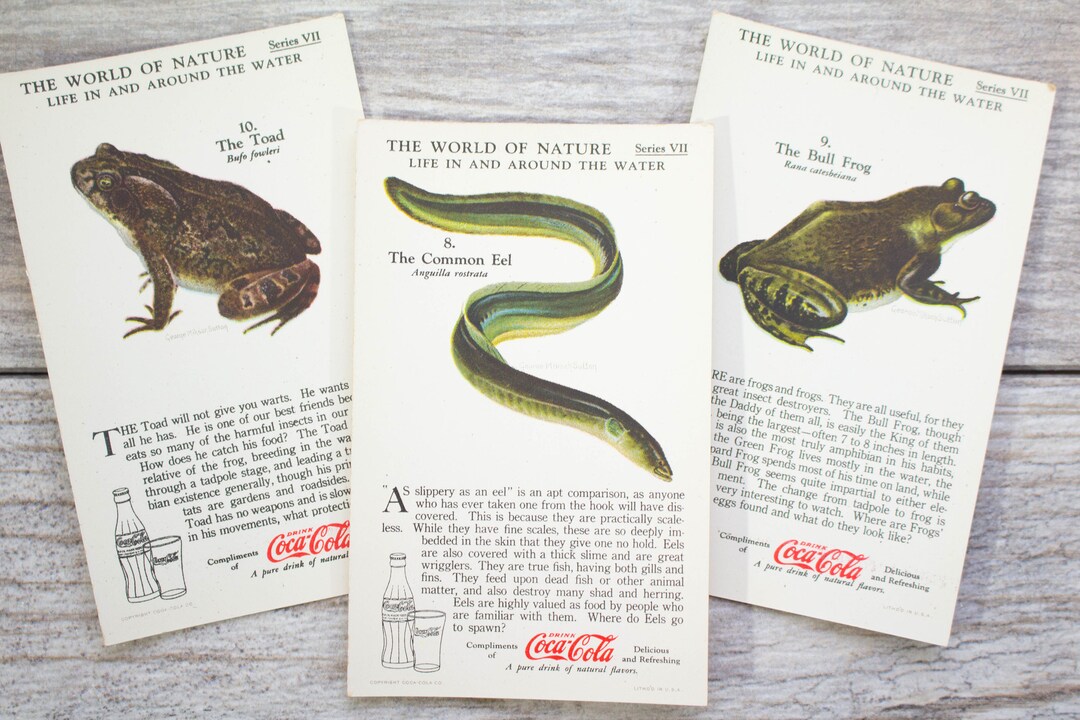 3x Vintage Coca Cola Cards World of Nature Series Toad Frog - Etsy