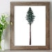 Pine Tree Art Print, Rustic Forest Woodland Art, Forest, Rustic Log ...