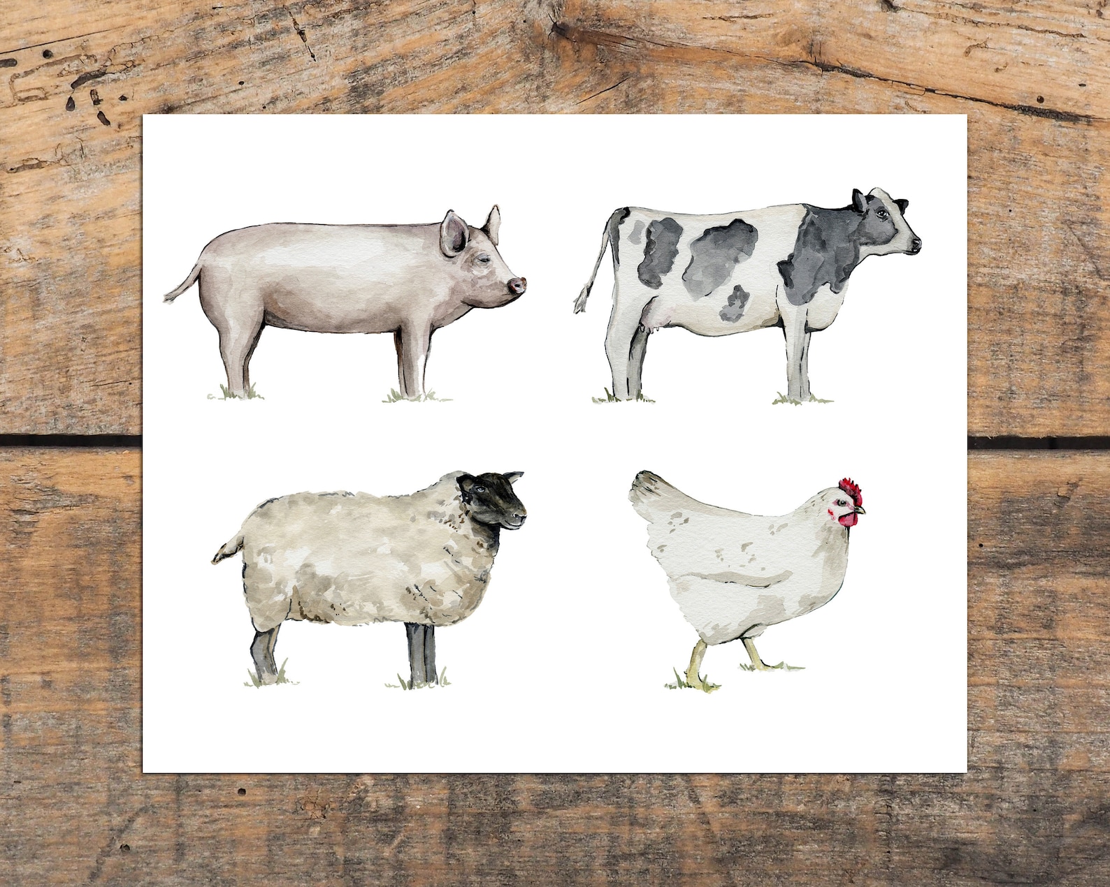 Cow, Sheep, Pig and Chicken Farmhouse Wall Art Print, Farm Animal Wall ...
