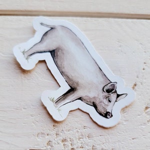Pig Vinyl Sticker, Farm Animal Water Bottle Sticker, Farmhouse Laptop ...