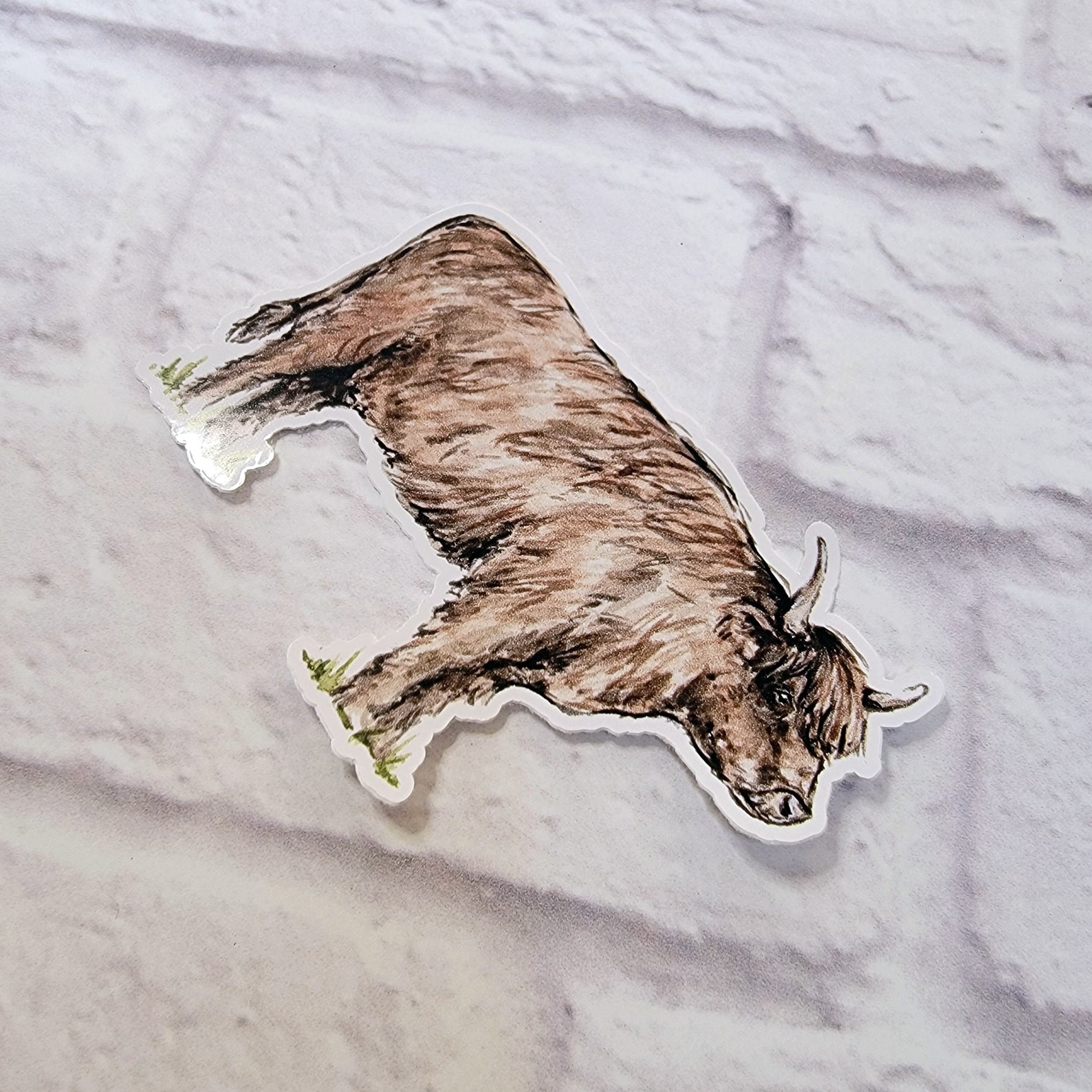 Highland Cow Vinyl Sticker Cow Water Bottle Sticker Laptop | Etsy