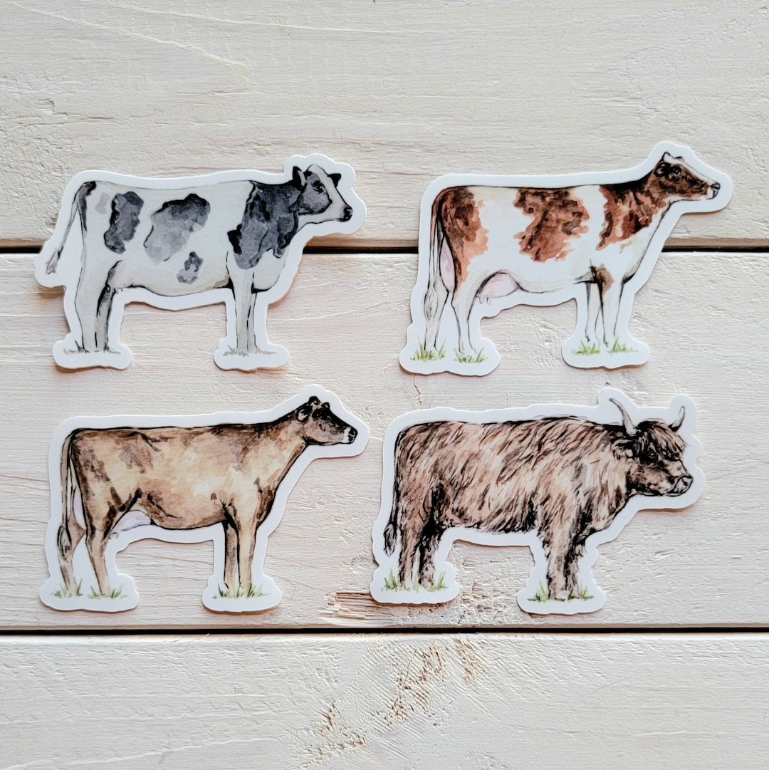 Cow Lover Sticker Set, Holstein, Ayrshire, Highland, Jersey, Set of 4 ...