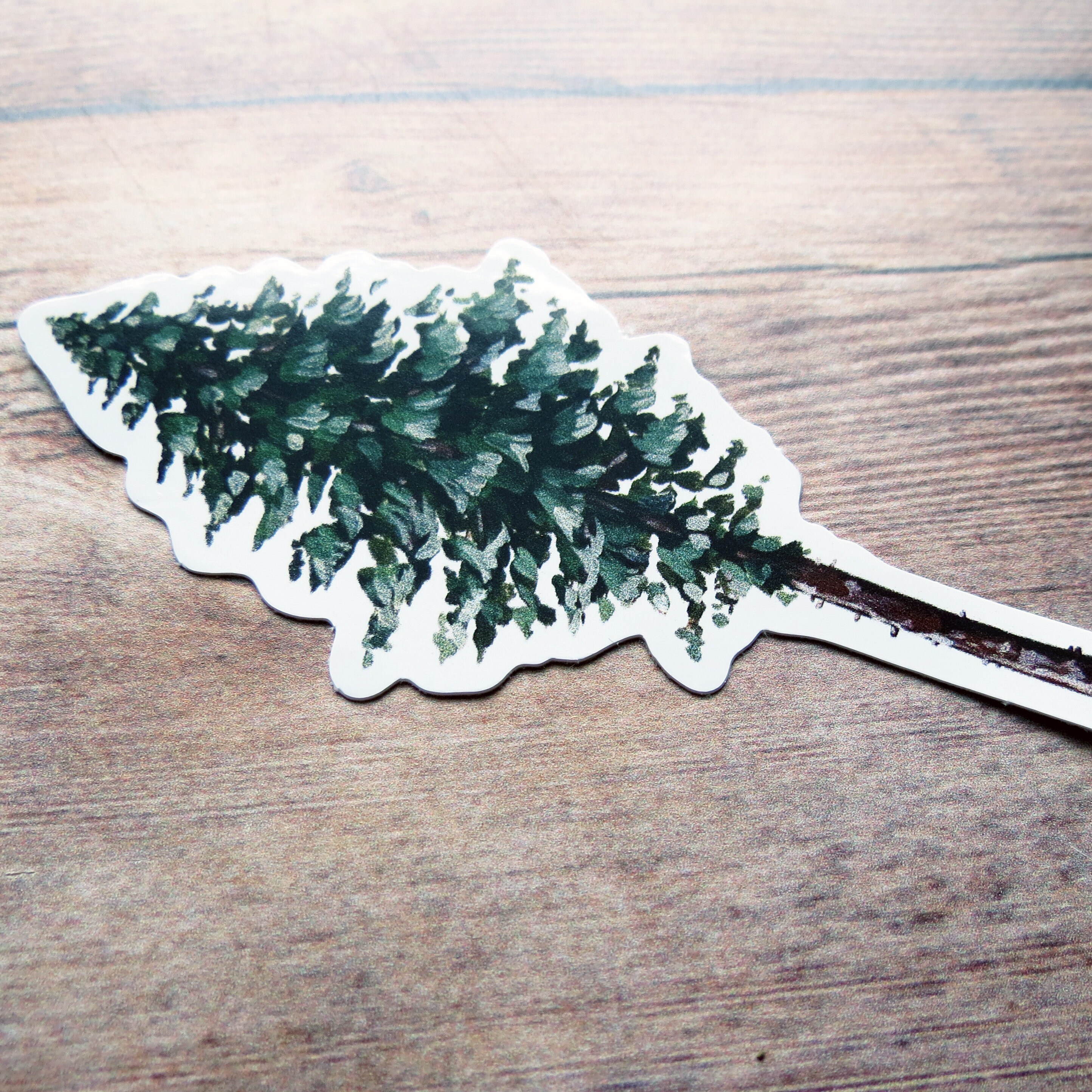 Pine Tree Vinyl Sticker Woodland Water Bottle Sticker Tree | Etsy