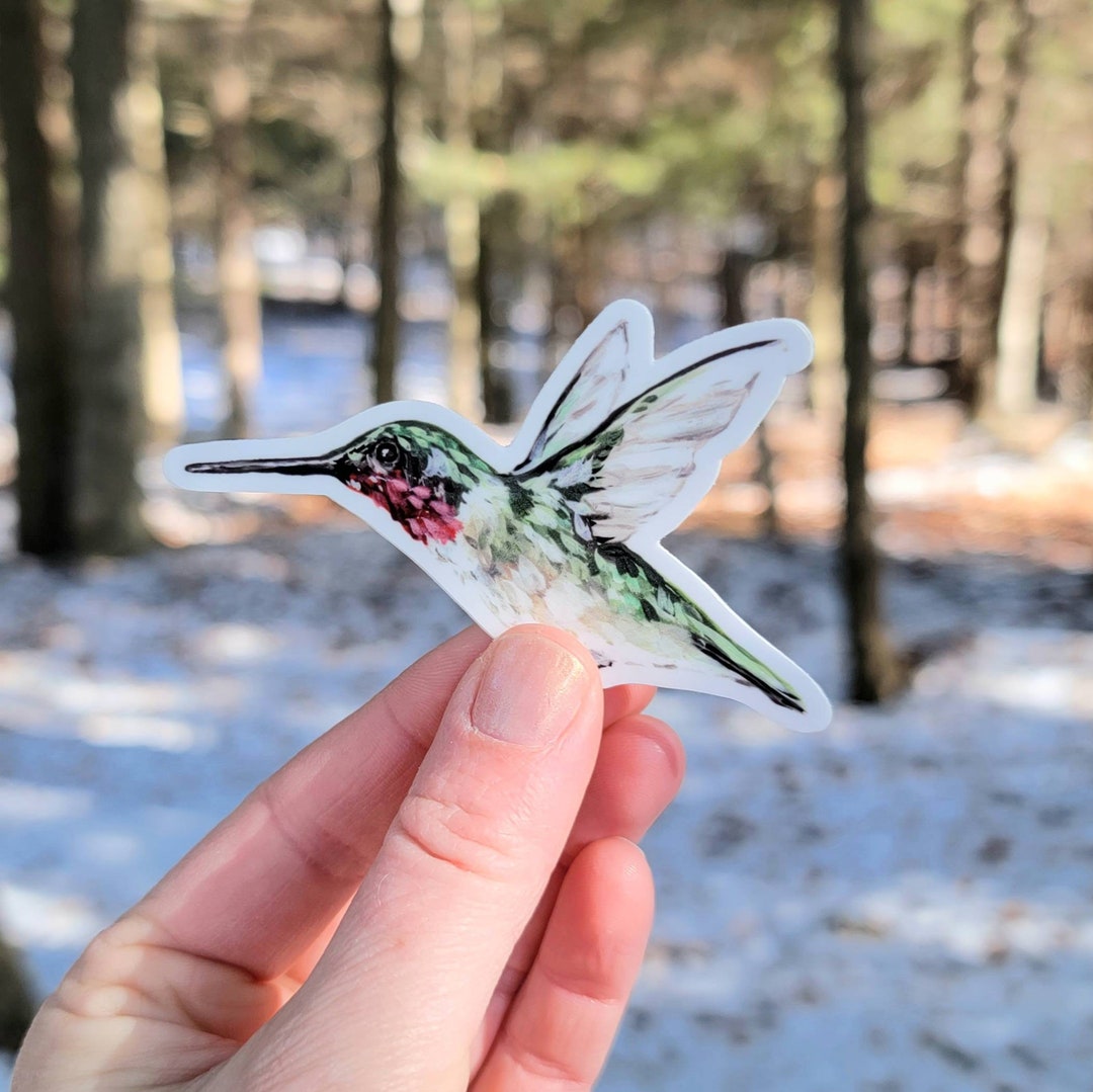 Hummingbird Sticker, Vinyl Bird Sticker, Laptop Sticker, Waterbottle ...