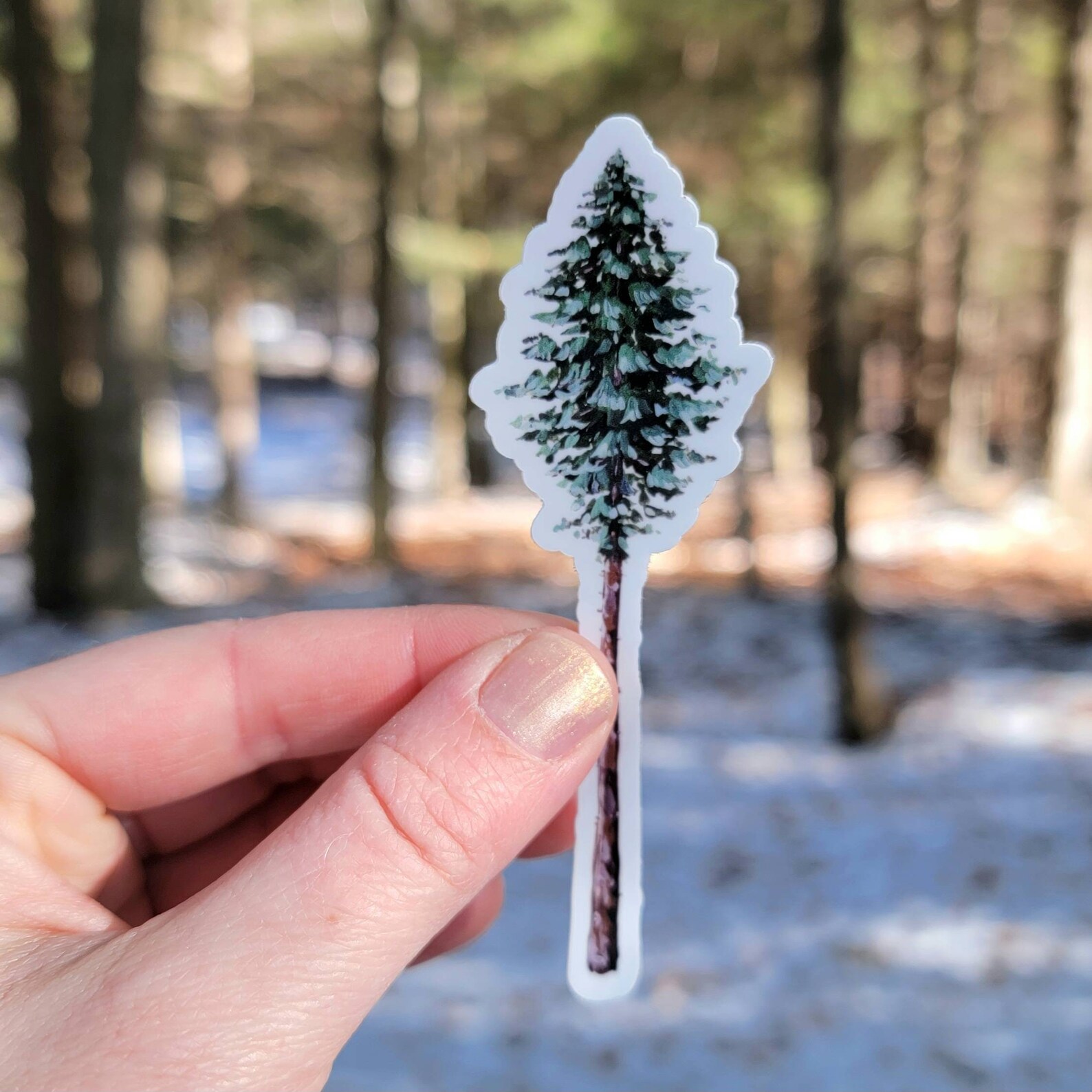 Pine Tree Vinyl Sticker Woodland Water Bottle Sticker Tree - Etsy