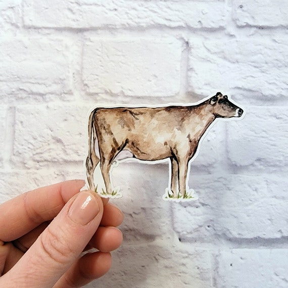 Jersey Cow Vinyl Sticker Cow Water Bottle Sticker Farm | Etsy