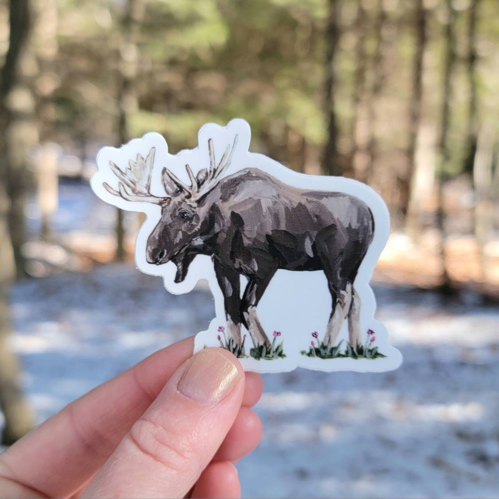 Moose Vinyl Sticker, Woodland Animal Water Bottle Sticker, Moose Laptop ...