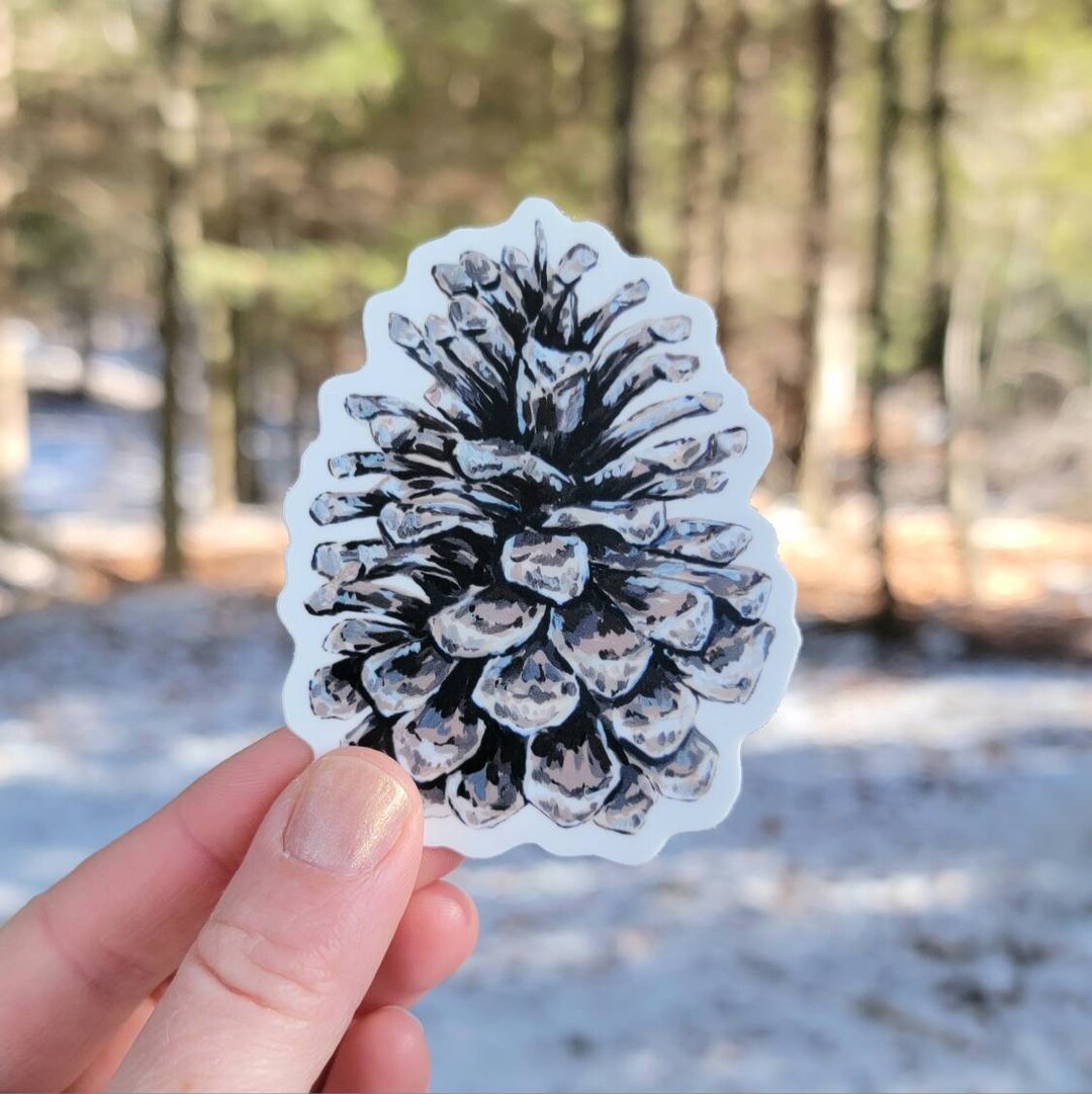 Pinecone Vinyl Sticker, Woodland Water Bottle Sticker, Rustic Laptop Sticker, Vinyl Decal ...