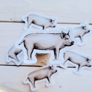 Pig Vinyl Sticker, Farm Animal Water Bottle Sticker, Farmhouse Laptop ...