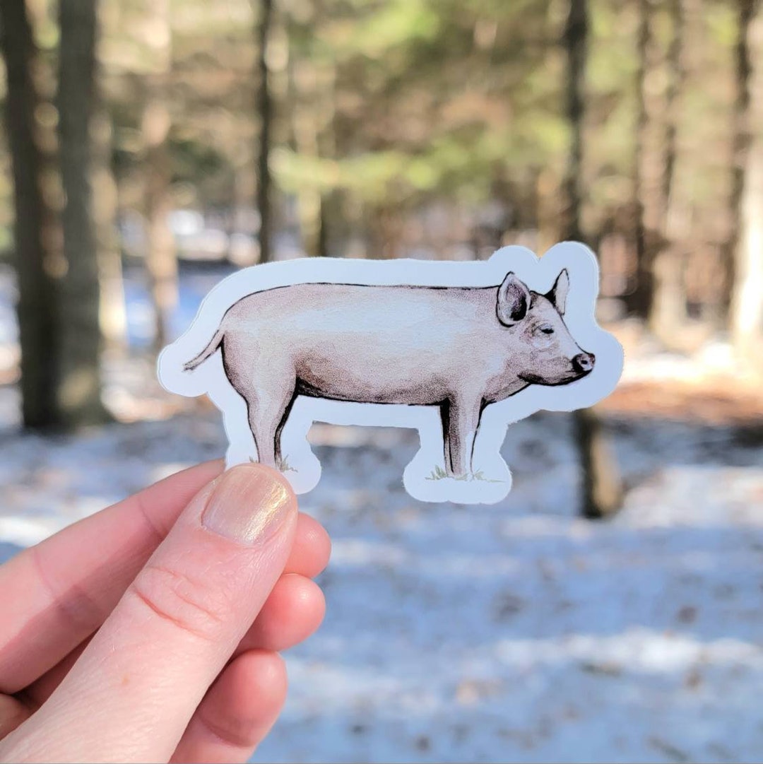 Pig Vinyl Sticker, Farm Animal Water Bottle Sticker, Farmhouse Laptop ...