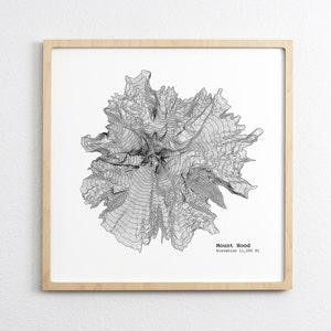 Cascade Range Mountains Topographic Map Art Print Set Cascades Rainier ...