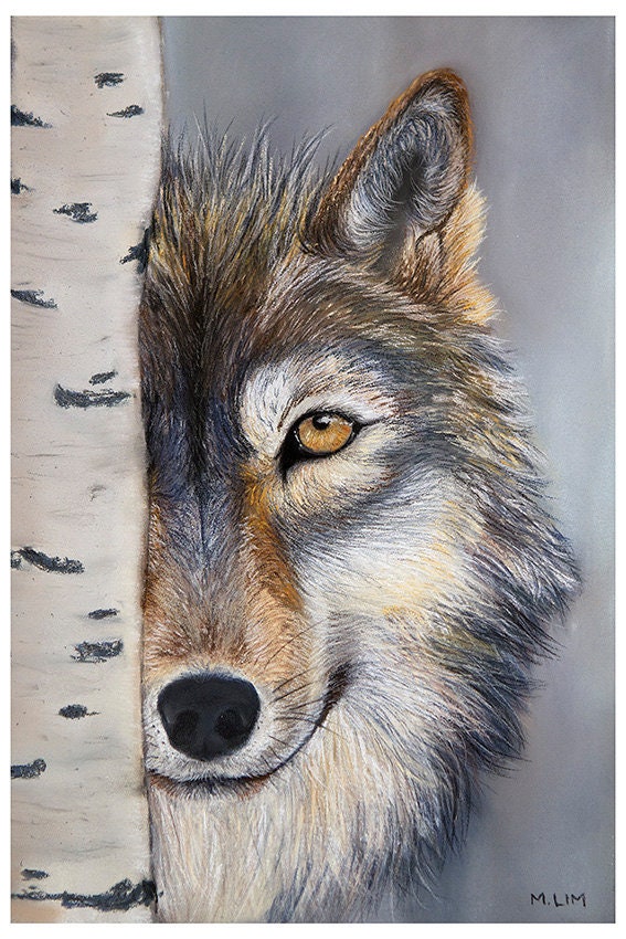 WOLF behind BIRCH TREE. art print matte paper wild things blue | Etsy