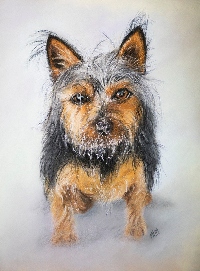 CUSTOM DOG PORTRAIT. Pastel Painting, Dog Art, Pet Art, Original ...