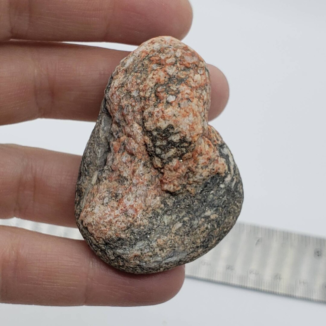 Pierre de Sm Genesis roche métamorphique Micah terrarium - Etsy France