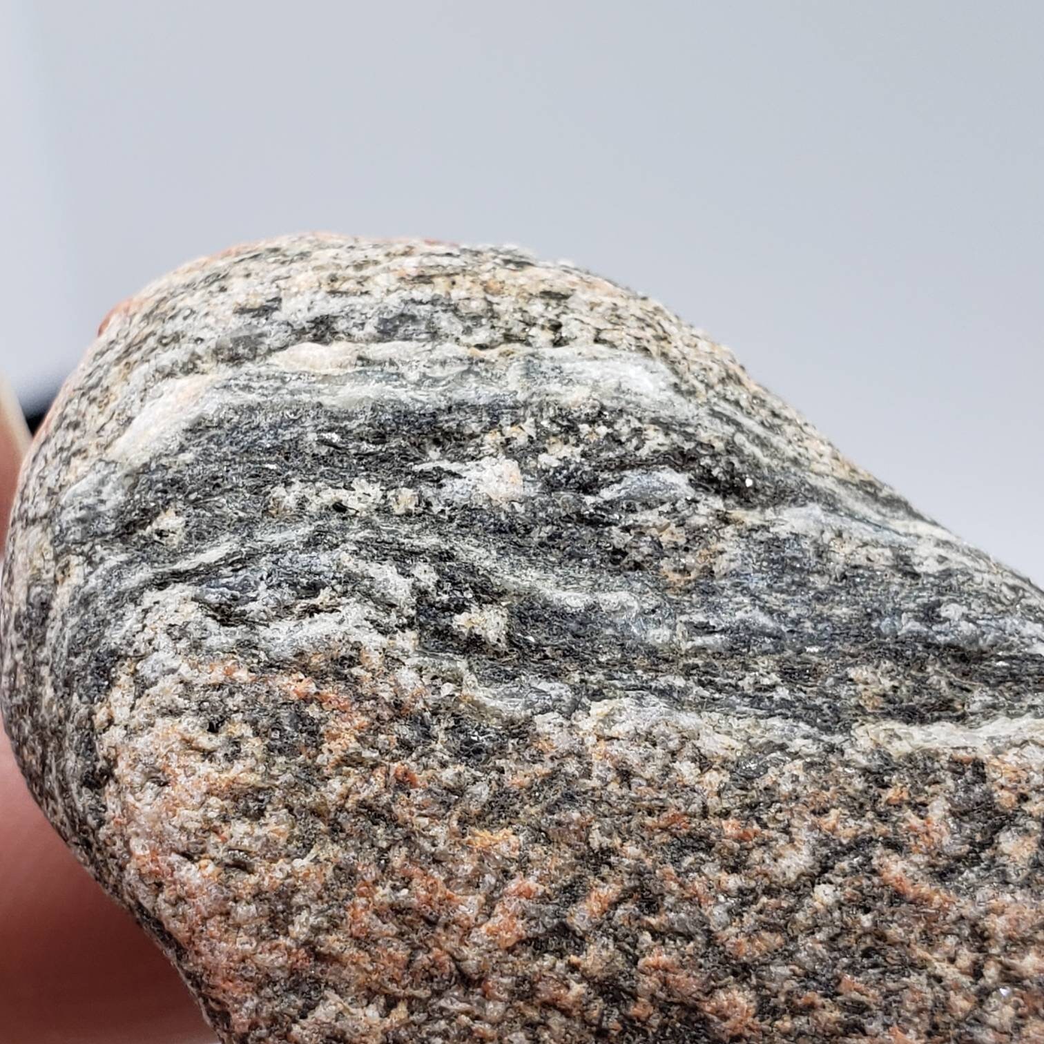 Sm Genesis stone Metamorphic rock Micah terrarium Aquarium | Etsy