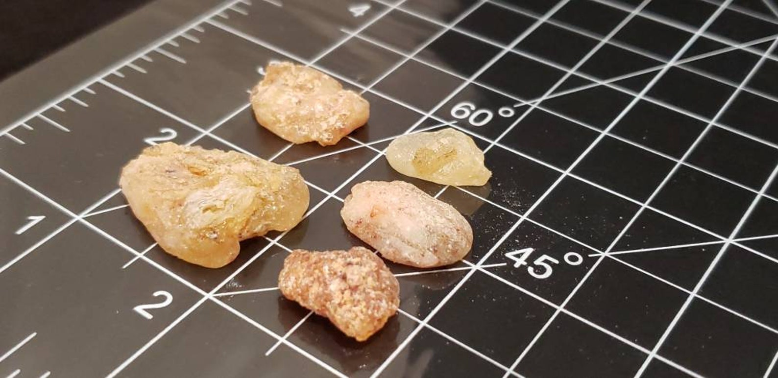 Pine Tree sap/Resin resin pine Sap ritualincenseL431 432 | Etsy