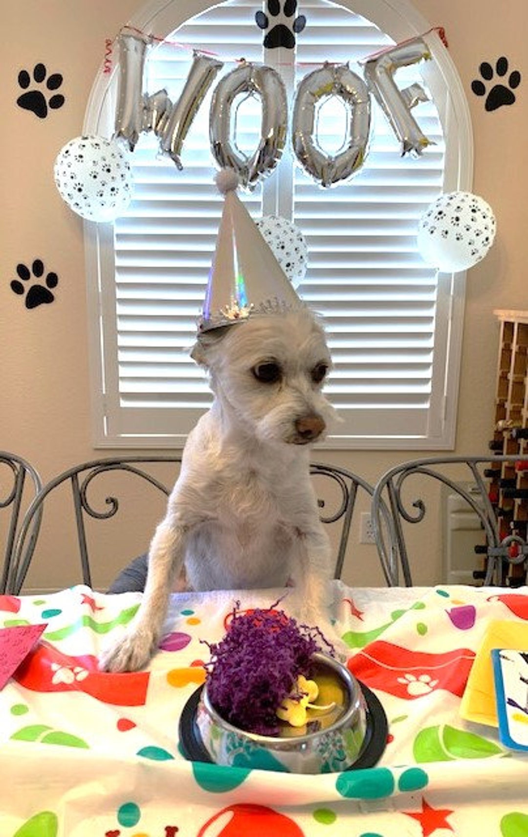 Complete Dog Birthday Party Kit (one Stop Shop for 8) - Etsy