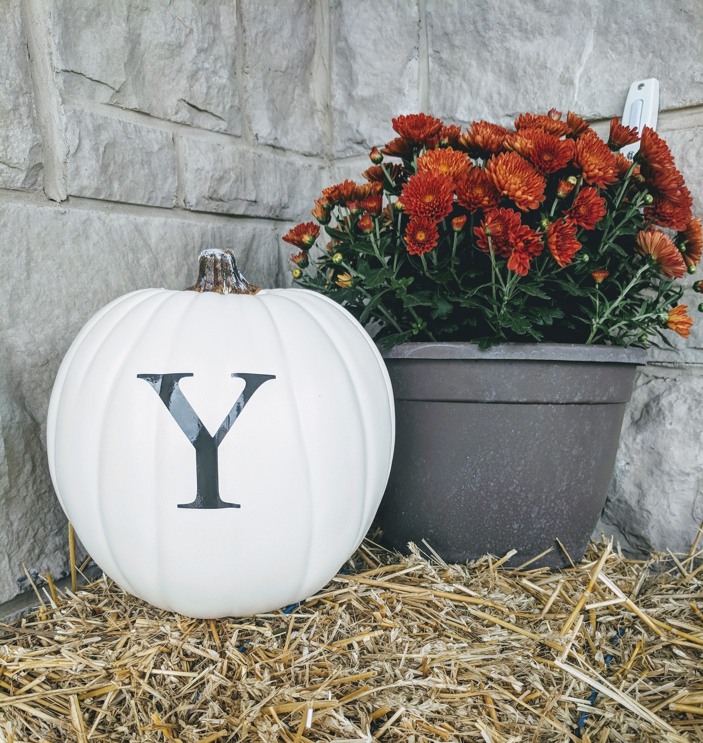 Monogram Pumpkin Decal Fall Decals Thanksgiving Vinyl - Etsy