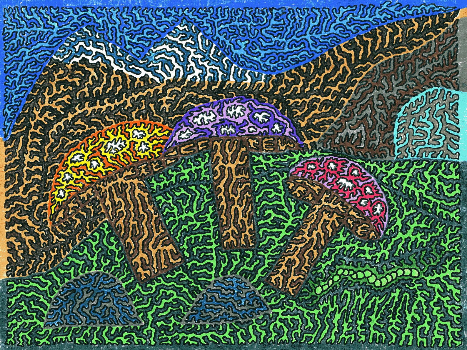 Squiggle Designs: Constellations, Portraits, Abstracts and Other Images ...