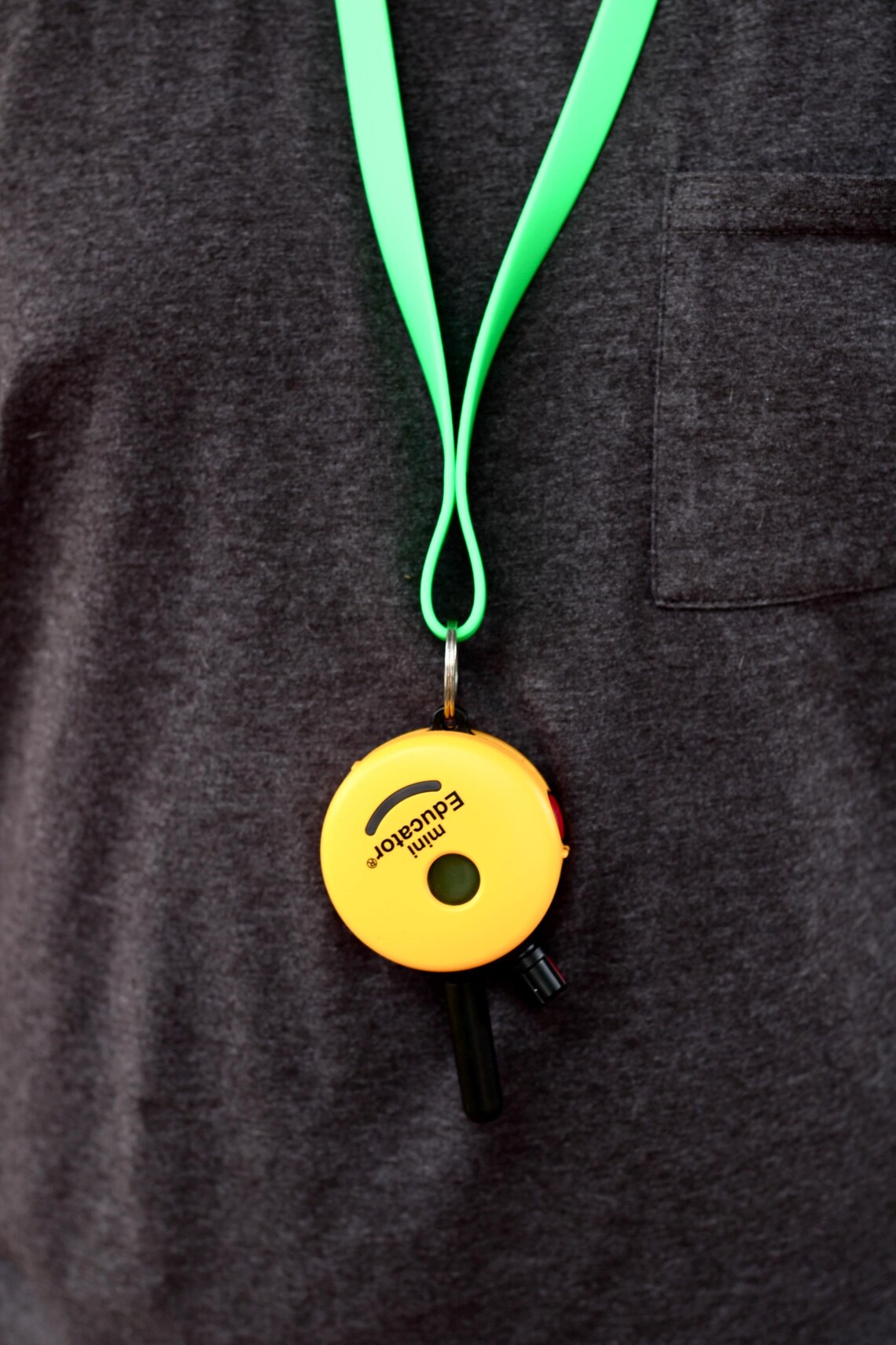 Biothane E-collar Remote Lanyard Lanyard for E-collar Remote Lanyard for Keys Biothane Lanyard ...