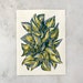 Hostas Oil Pastel Drawing - Etsy