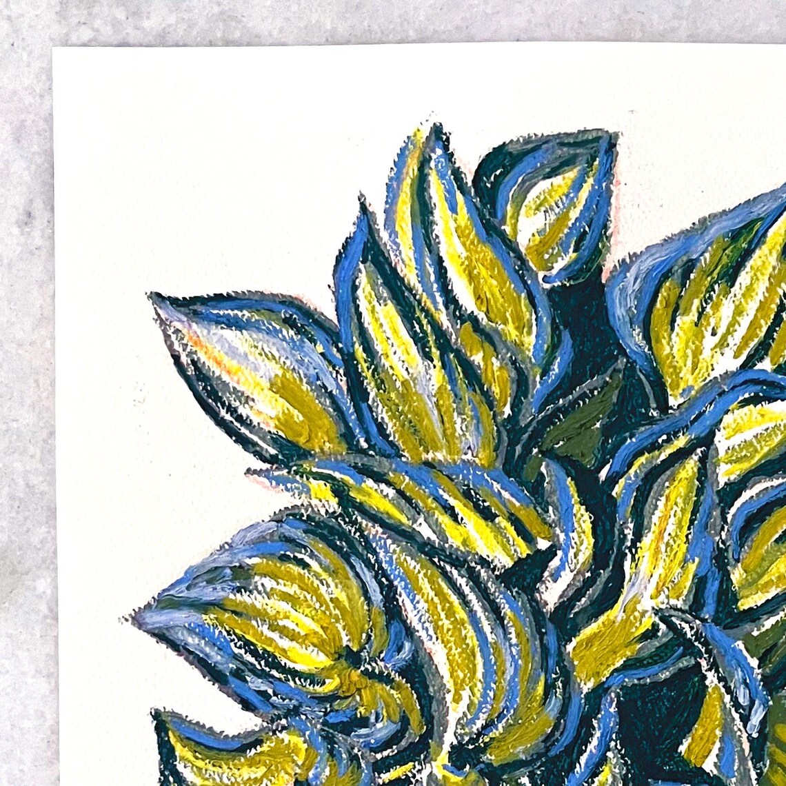Hostas Oil Pastel Drawing - Etsy