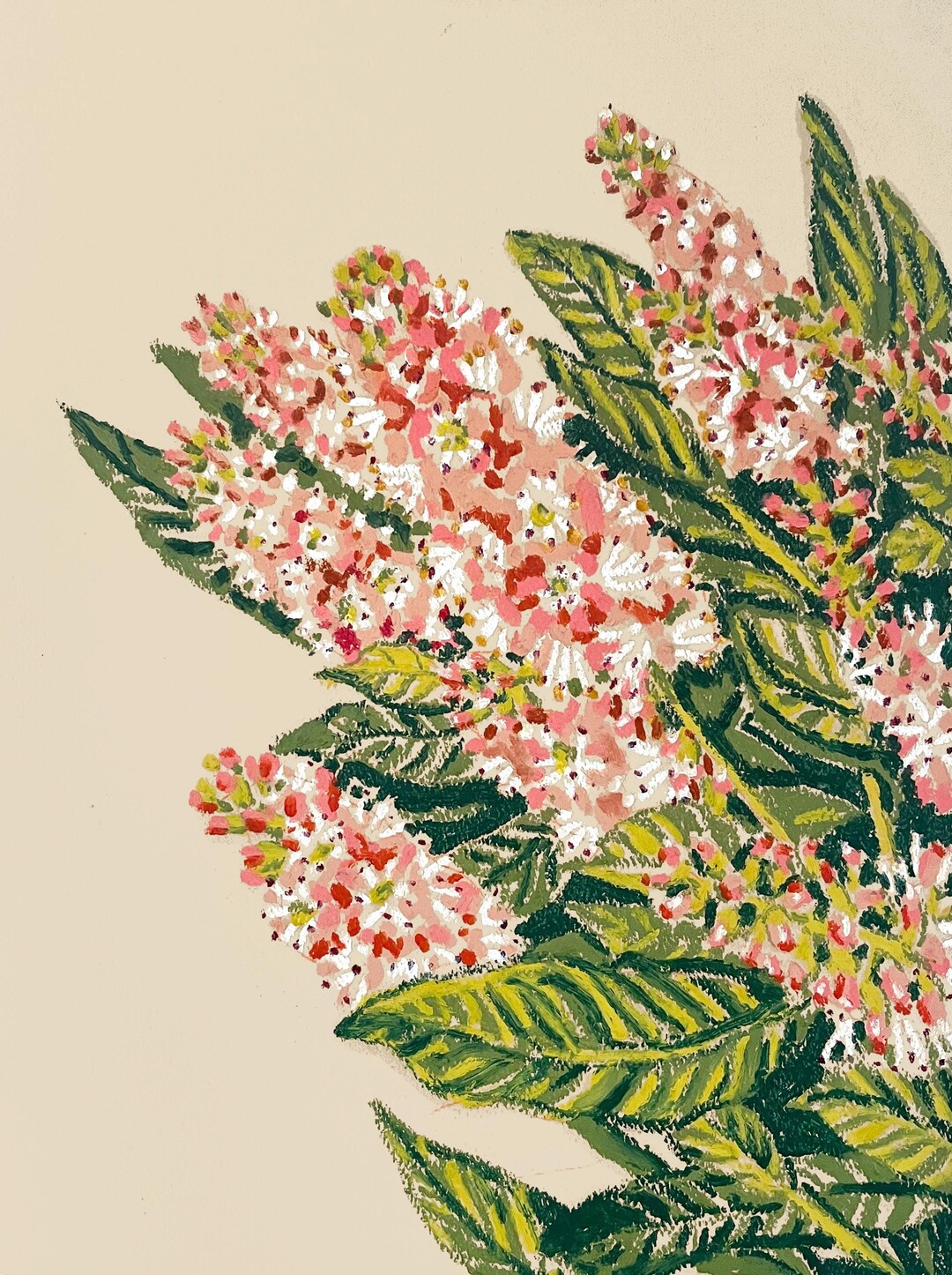 Clethra Oil Pastel Drawing - Etsy