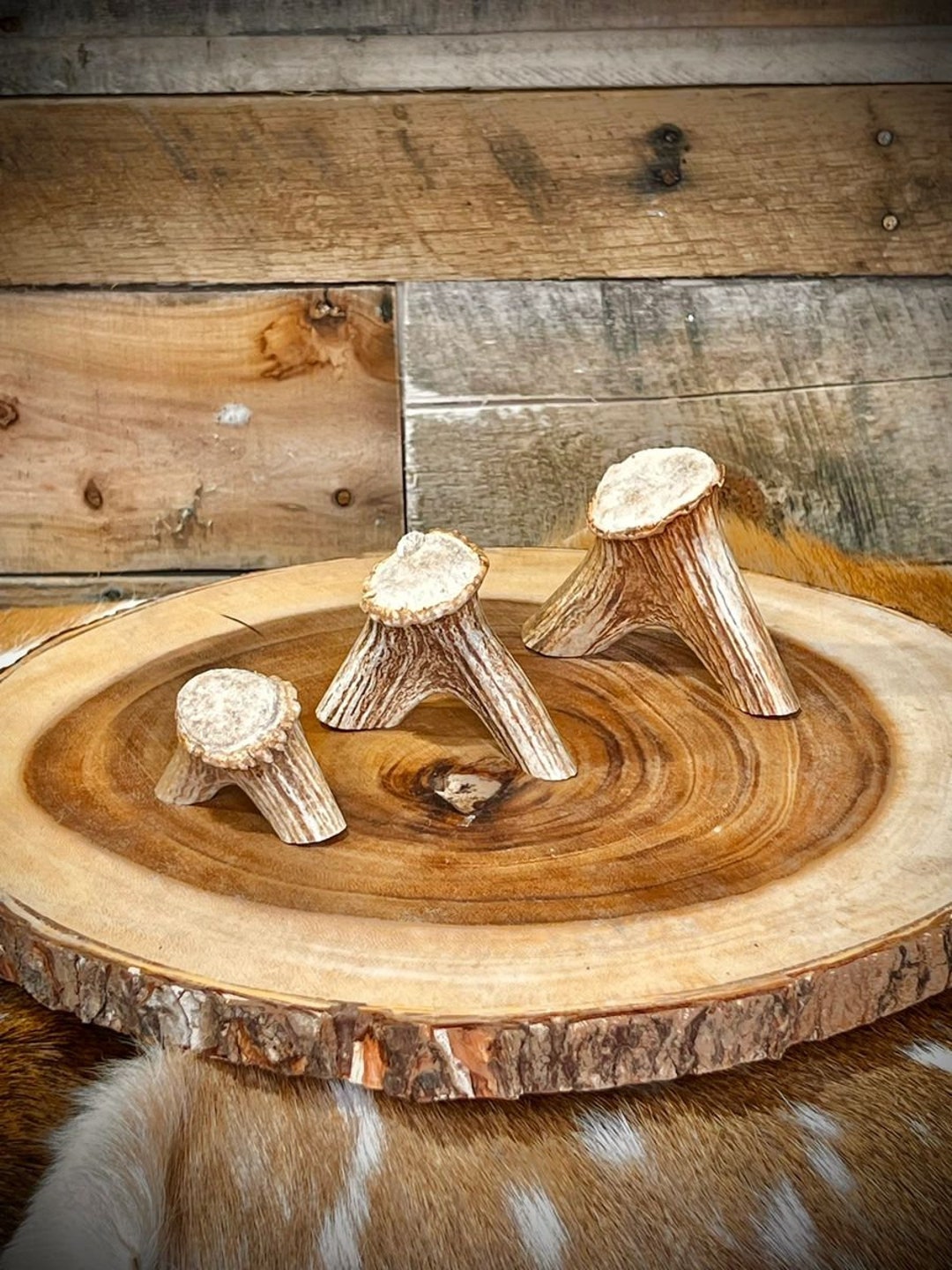 2-hole Deer Antler Drawer and Cabinet Pulls / Knobs / Handles All Sizes ...