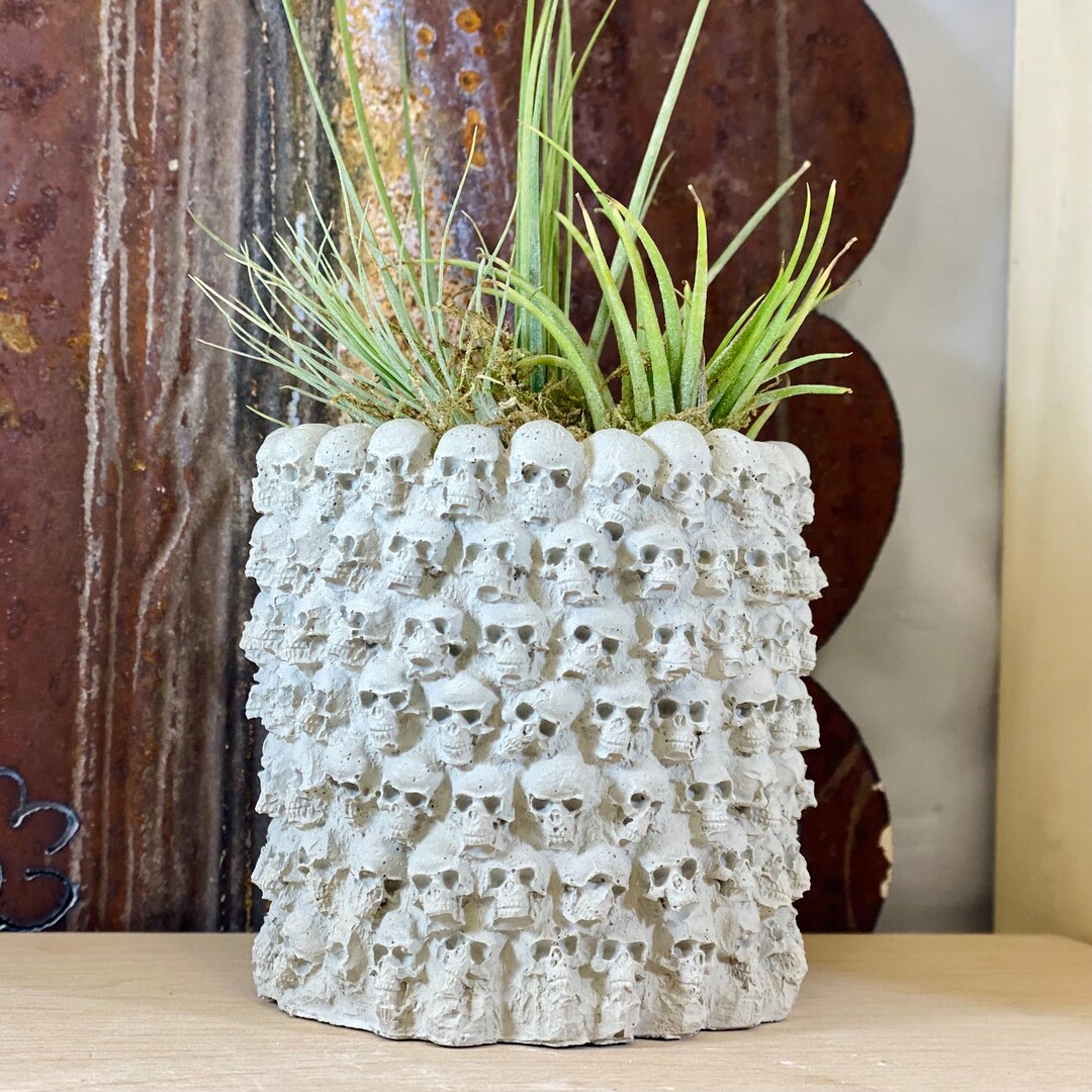 Catacomb Skull Cement Planter Gothic Pot for Plant Lovers Succulent and ...