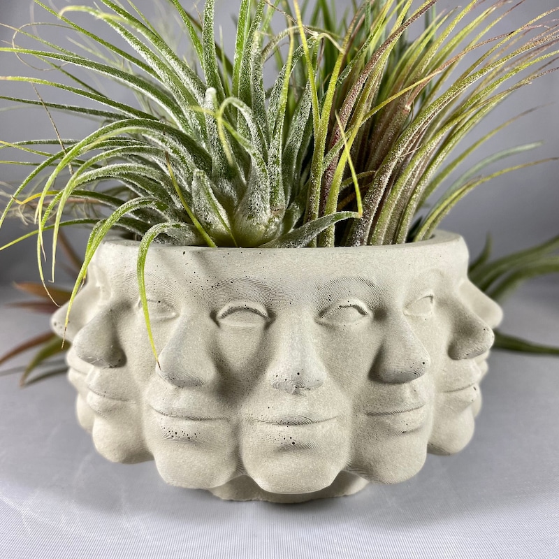 Multi Face Planter - Etsy