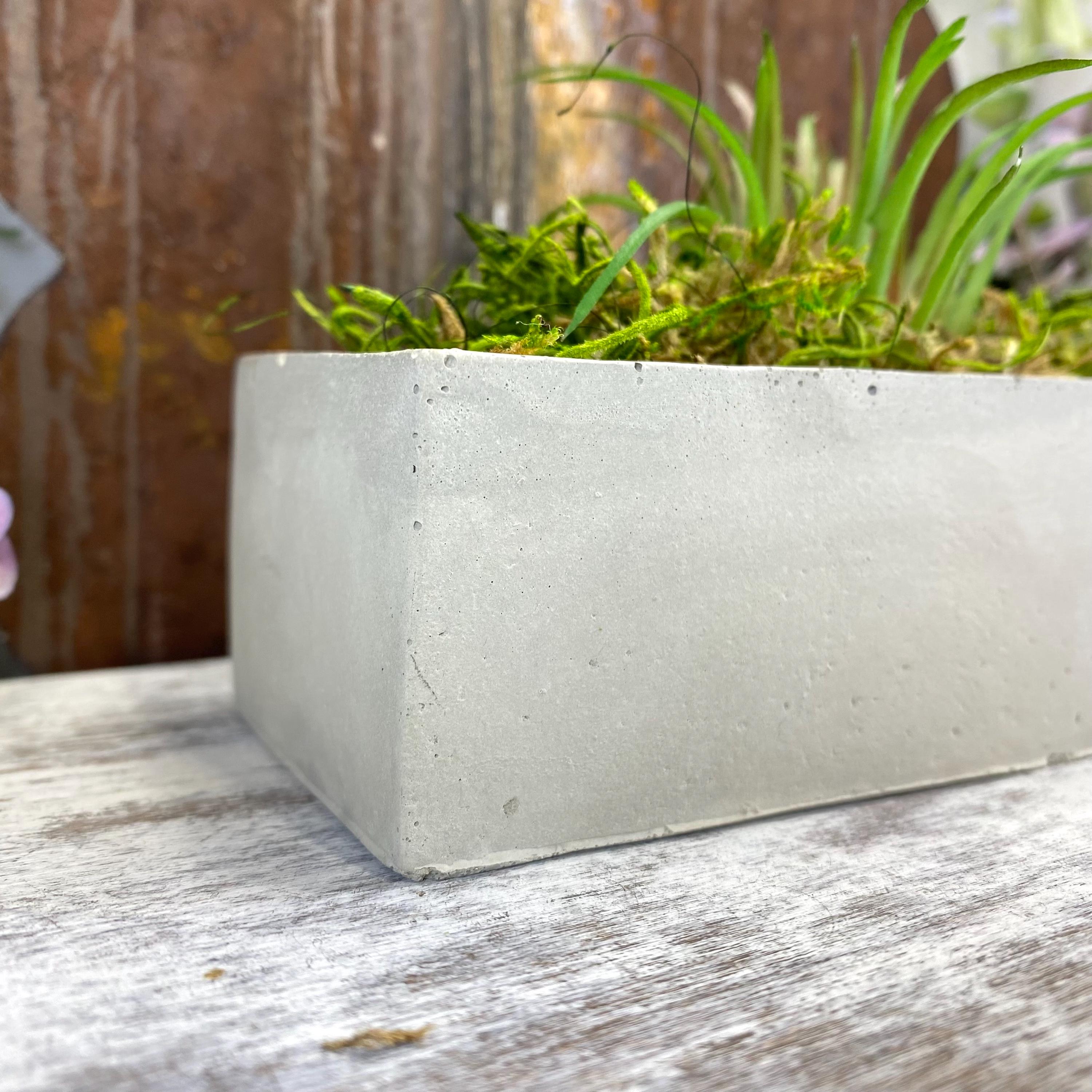 Modern Cement Rectangular Succulent Planter: Windowsill Garden Vessel ...