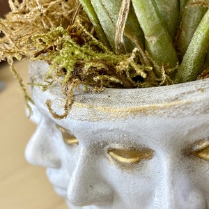 Mini Multi Face Cement Planter or Jar Head Pot for Small Plants, Air ...